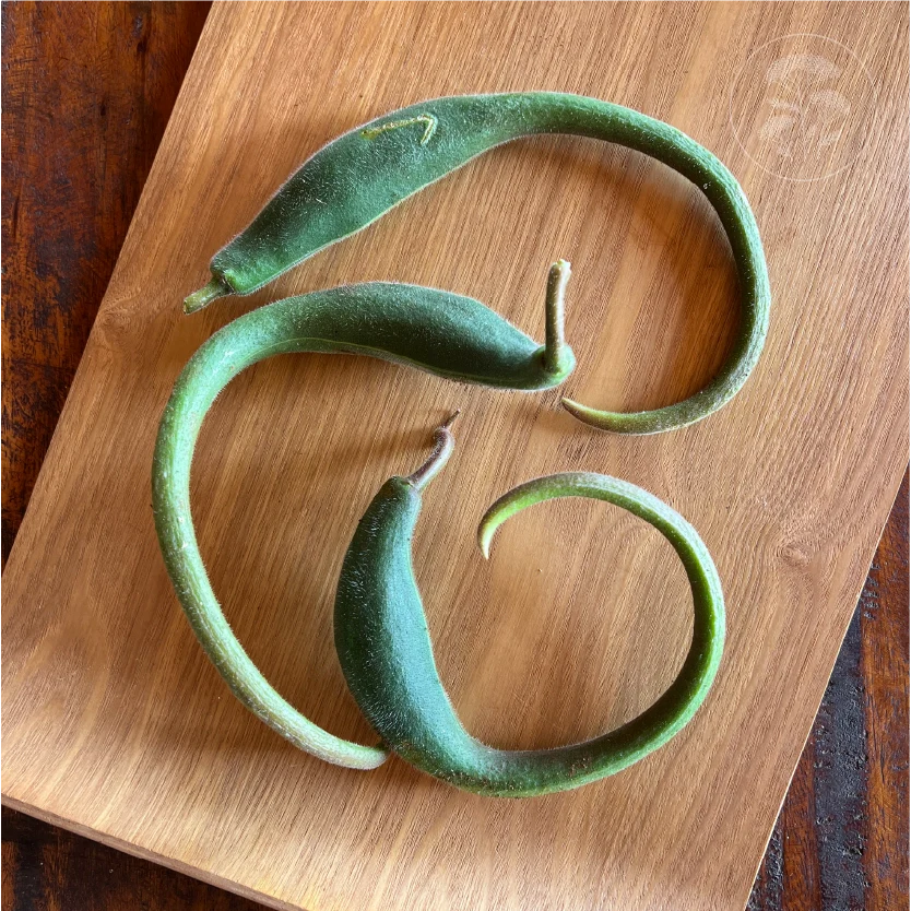 NEW ARRIVALS – Yarroway Farm