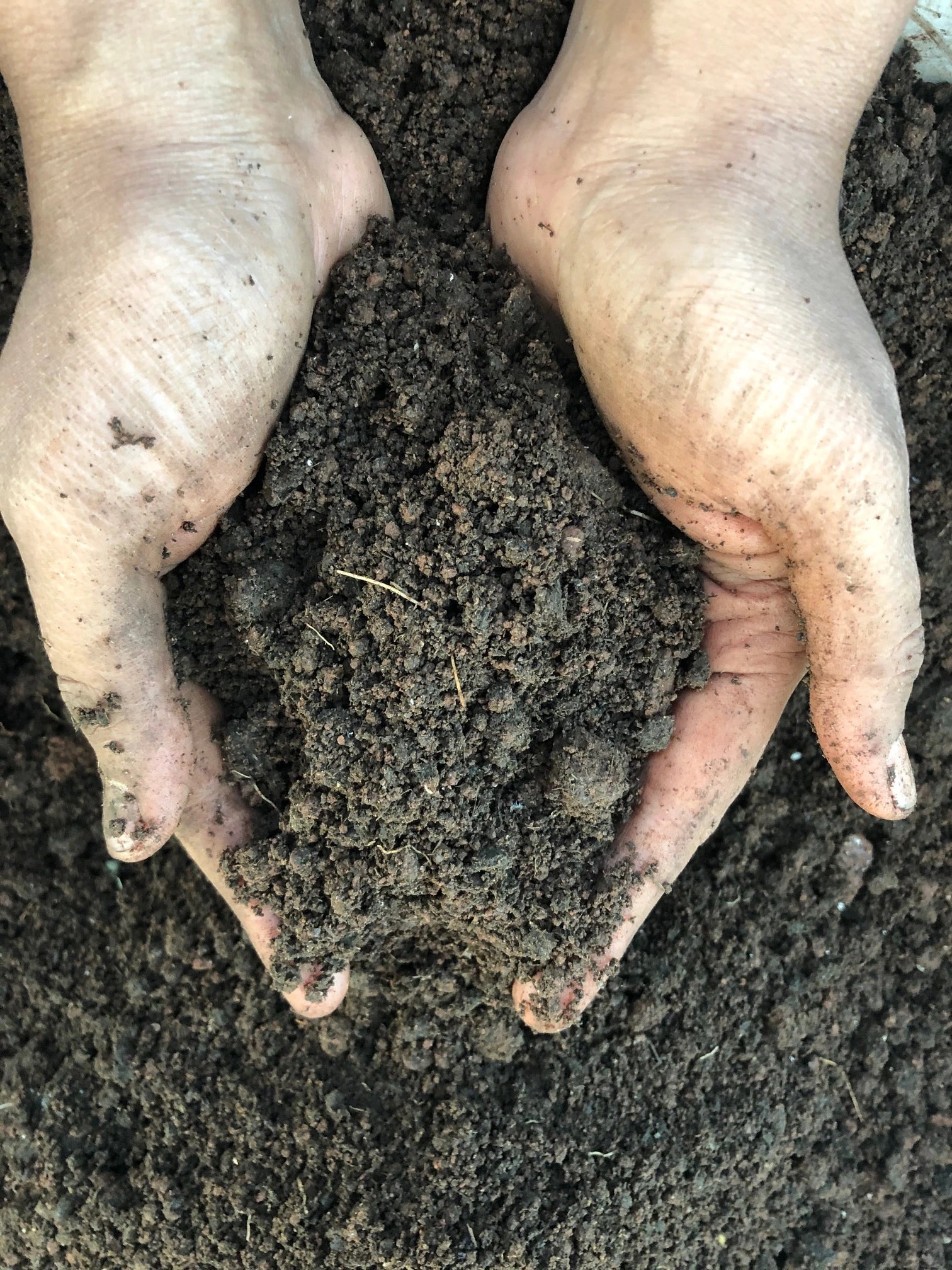 BIODYNAMIC COMPOST – Yarroway Farm
