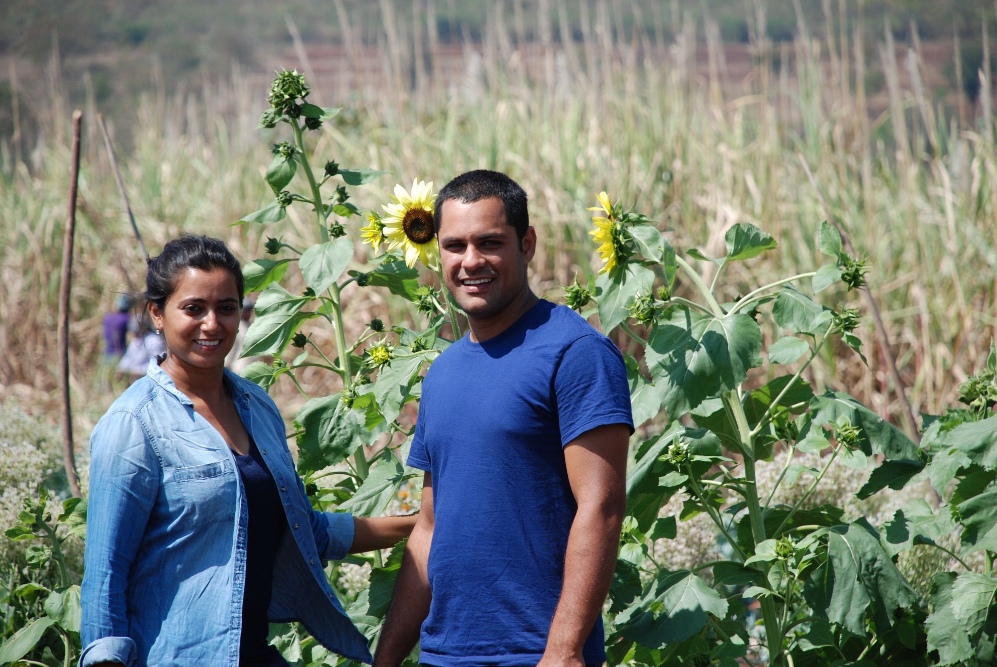 BIOME – Yarroway Farm